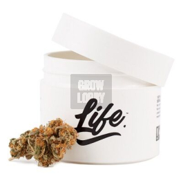 Cali Rock Flores de CBD de Life CBD